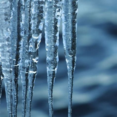 Freeze Ice Learn How To Sign