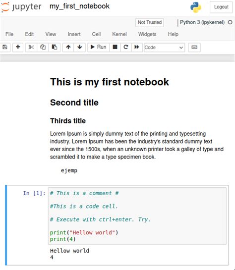 Using Jupyter Notebook Teidehpc