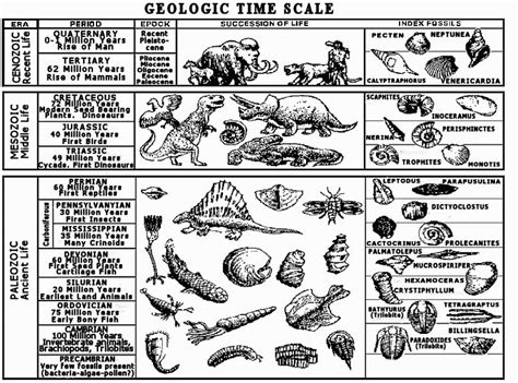 Everything You Ever Wanted To Know About Fossils Charles Darwin