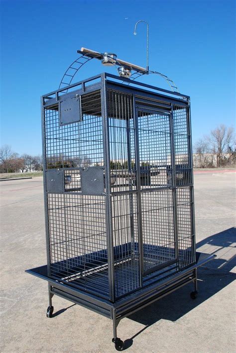 New Large Bird Open Playtop Parrot Cockatiel Macaw