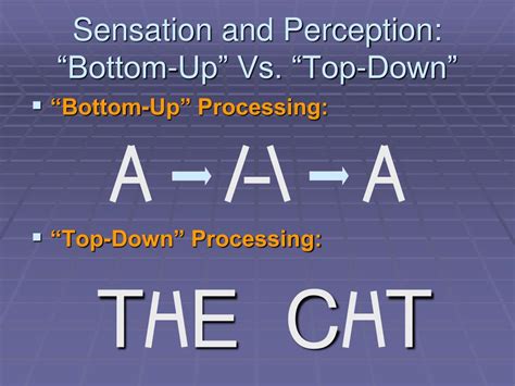 Ppt Unit 4 Sensation And Perception Powerpoint Presentation Free