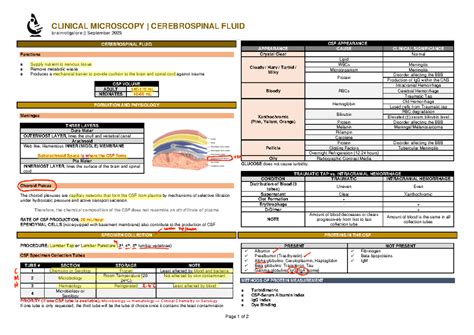 Csf Csf Summary Notes Clinical Microscopy Cerebrospinal Fluid