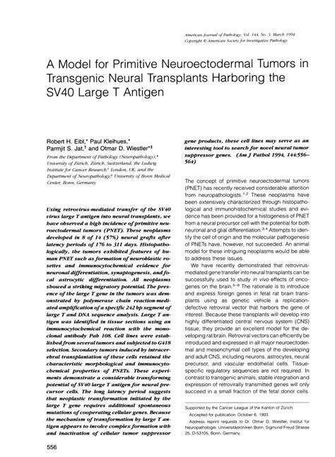 Pdf A Model For Primitive Neuroectodermal Tumors In Transgenic Neural Transplants Harboring