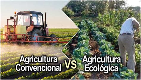 Agricultura Convencional Versus Agricul Mapa Mental Images