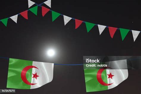 녹색과 흰색 페넌트와 알제리 국기의 화환 별이 빛나는 보름달 밤 0명에 대한 스톡 사진 및 기타 이미지 0명 갈란드 장식품 고요한 장면 Istock