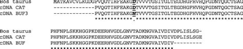 Clustal W 1 83 Multiple Amino Acids Sequence Alignment Of Superoxide Download Scientific