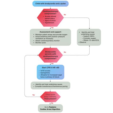Pals Bradycardia Algorithm Cpr Lifeline