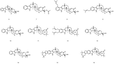 Structures Of Compounds 6 16 Download Scientific Diagram