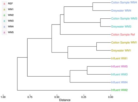 Clustering Of The Pyrosequencing Results Of The Different Sample