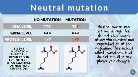 Neutral Mutation Examples In Nature Explained