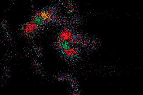 많은 검정 추상적인 배경에 고립 색종이와 다채로운 축 하 배경 반짝이 조각 라운드 떨어지는 산 산 조각 색종이 타격의 만든 뿌려 임의의 패턴을 삭제 합니다 7월에 대한 스톡
