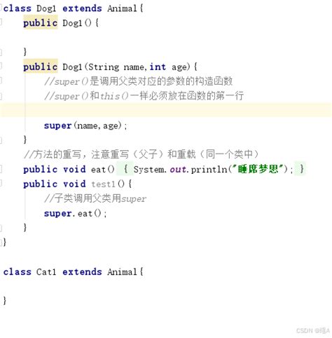 Java继承代码案例 Csdn博客