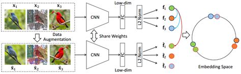 对比学习（contrastive Learning） 知乎