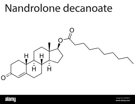 Nandrolone Decanoate Skeletal Structure Molecule Vector Editable File