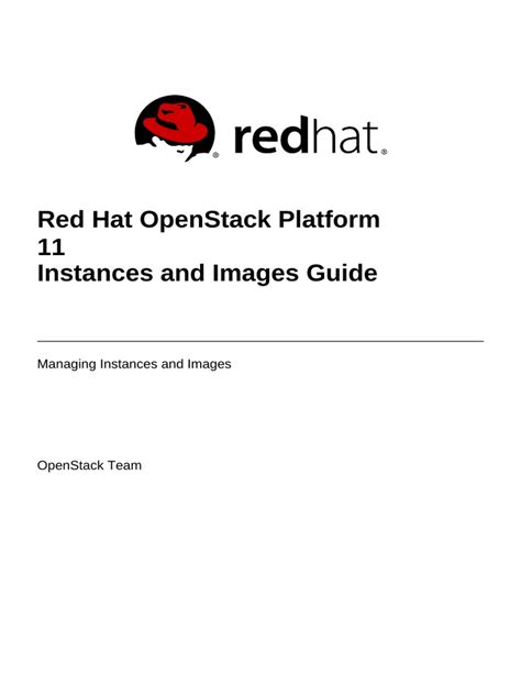 Red Hat Openstack Platform 11 Instances And Images Guide En Us Pdf
