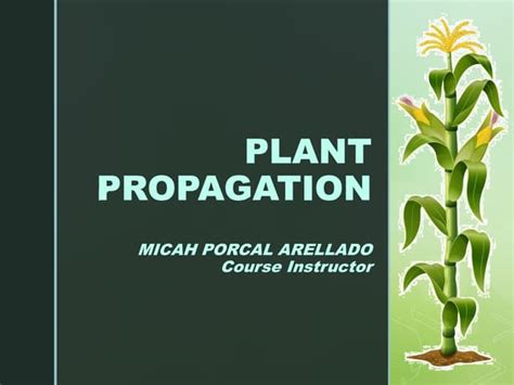 Sexual And Asexual Plant Propagation Techniquepdf Pdf