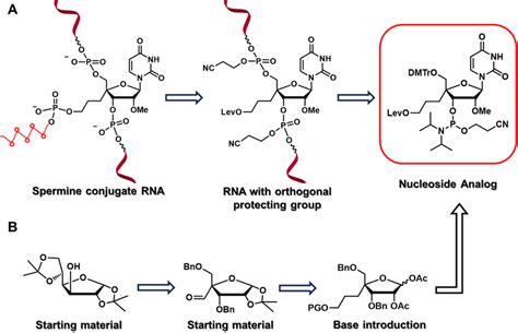 A Retrosynthetic Analysis For Identification Of Nucleoside Analog By