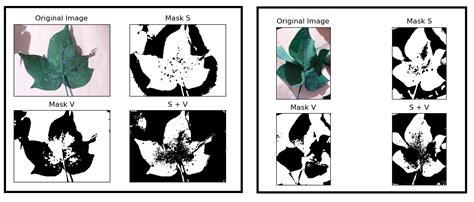 Detection Of Leaf On Unpredictable Background Opencv Q A Forum