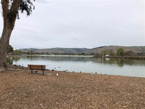 Plan To Prevent Lake Elizabeth Fish Die Offs Approved By City Council