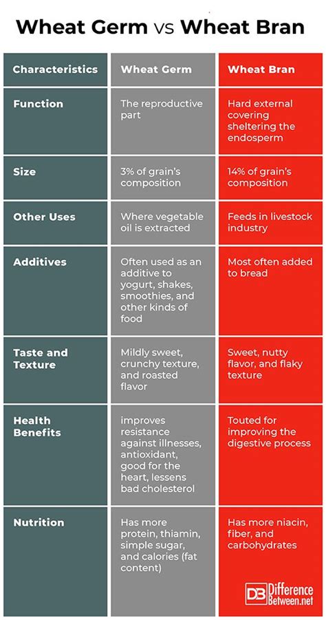 Difference Between Wheat Germ And Wheat Bran