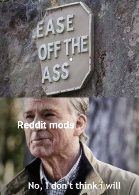 They Just Cant Resist R Memes