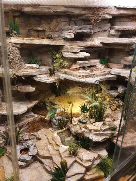 36 Leopard Gecko Enclosure Ideas In 2024 Leopard Gecko Leopard Gecko