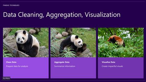 Unlocking Insights Data Analysis Visualization Ppt