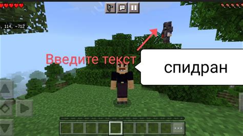 спидран - YouTube