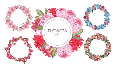 꽃 프레임 컬렉션입니다 귀여운 꽃 배열 유엔 화 환 결혼식 초대장과 생일 카드에 대 한 완벽 한 모양 벡터 일러스트입니다 손으로 그린 디자인 요소 스케치 스타일 결혼식에
