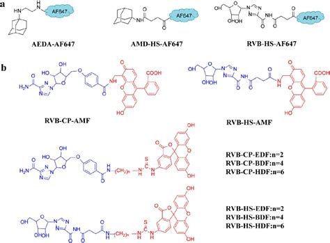Figure 1 From Fluorescence Polarization Assays For Organic Compounds In