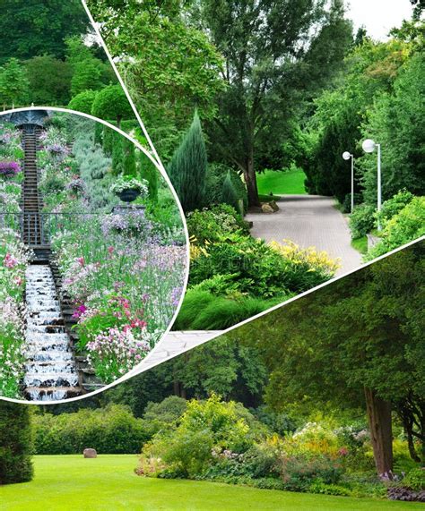 Beautiful Garden With Coniferous And Deciduous Trees Collage Stock