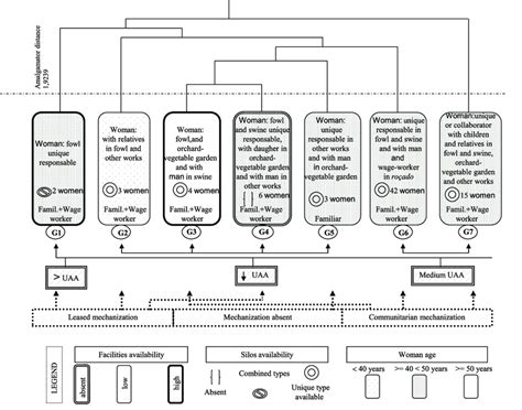 Simplified Dendrogram Of Rural Womens Groups From The Cluster Analysis Download Scientific