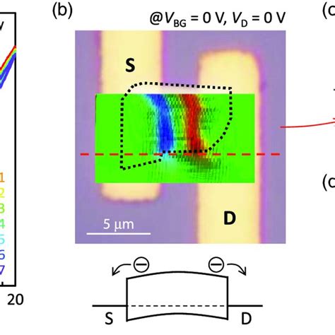 A Optical Micrograph Of A Bulk Pdse2 Photodetector Prepared On An Download Scientific Diagram