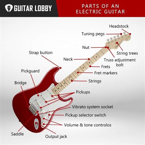 Diagram Of An Electric Guitar