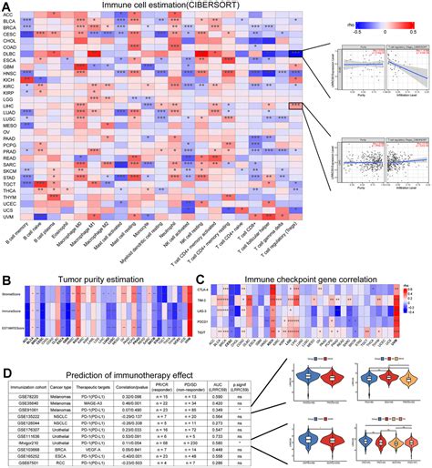 Pan Cancer Analysis Of Lrrc59 With A Focus On Prognostic And Immunological Roles In