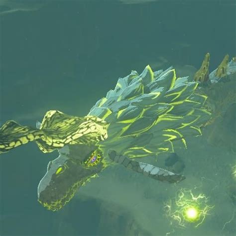 The Dragons In Botw And Totk R Topcharacterdesigns