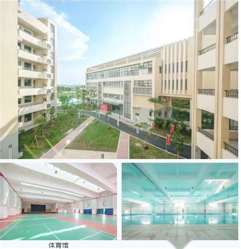佛山市顺德区杏坛实验初级中学 知乎