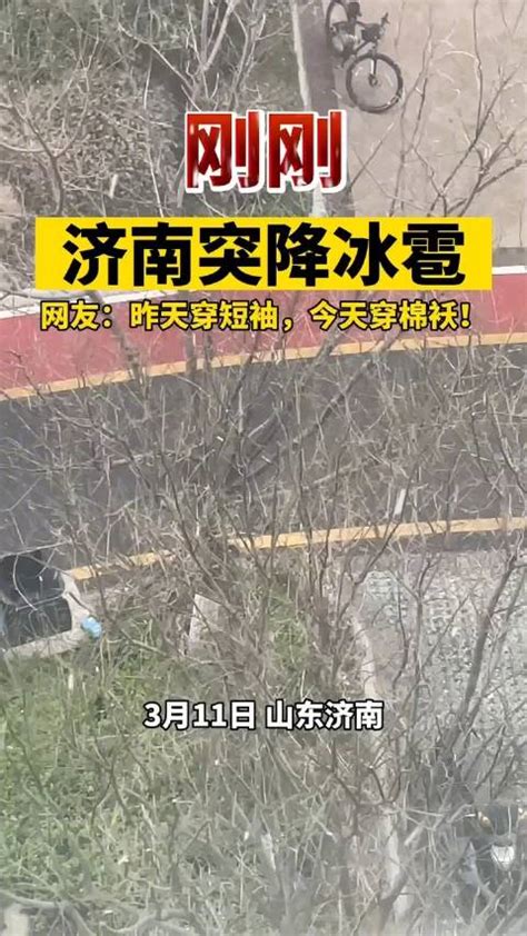 济南突降冰雹密集似飘雪济南市冰雹新浪新闻