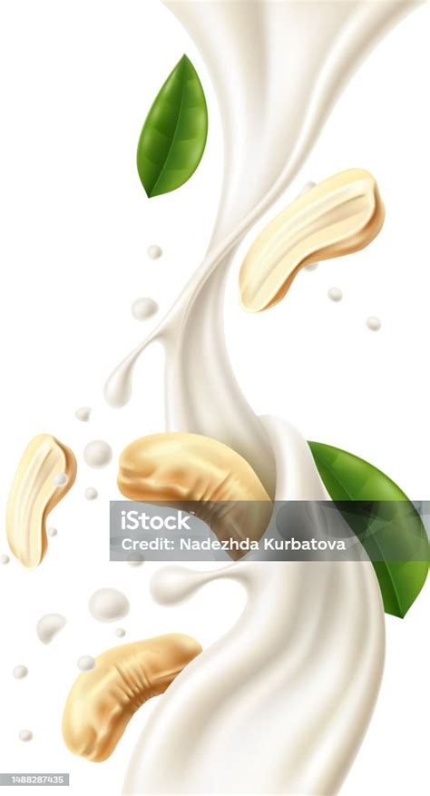 우유에 현실적인 견과류 캐슈와 크림 액체의 흐름 운동 채식 음료 방울로 튀는 유체 쏟아지는 음료 대체 유제품 벡터 씨앗과 유백색 스플래쉬 건강한 식생활에 대한 스톡 벡터