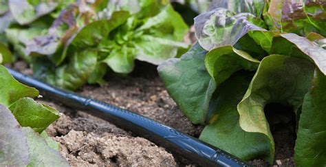 Drip Tape Irrigation System