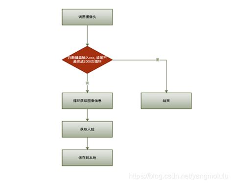 Opencv人脸识别（一）opencv基础知识与模块搭建opencv人脸识别流程图 Csdn博客