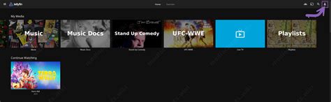 Jellyfin Common Setup Options Media Clients Wiki