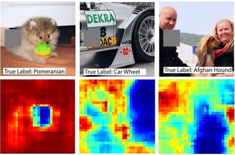 Deep Learning Do Scientists Know What Is Happening Inside Artificial Neural Networks