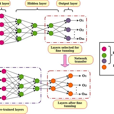Network Based Transfer Learning Download Scientific Diagram
