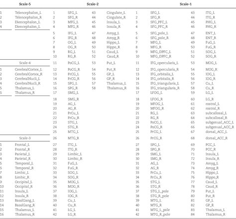 Table 2 From The Pyramid Representation Of The Functional Network Using Resting State Fmri