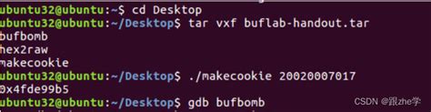 计算机系统基础 缓冲区溢出攻击bufbomb Fizz的cookie位置 Csdn博客