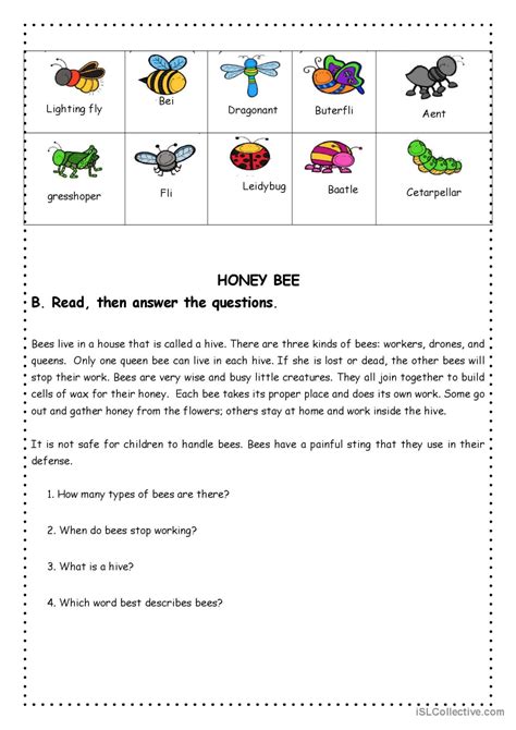 Insects And Bugs Superlative Adject English Esl Worksheets Pdf And Doc