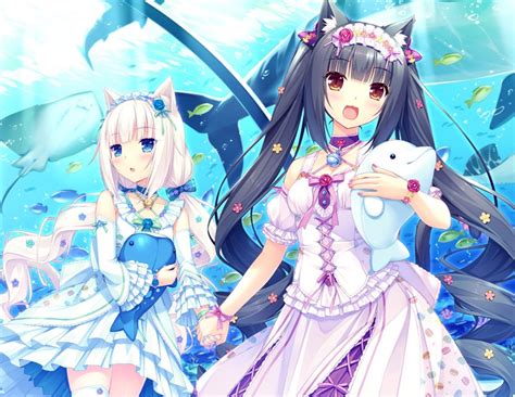 Review Nekopara Vol 1 Nintendo Switch Digitally Downloaded