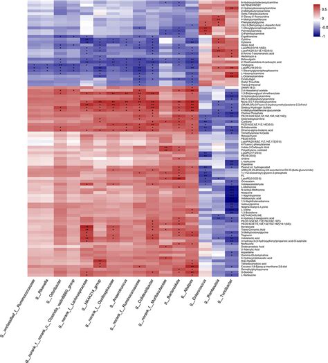 Integrated Microbiome And Metabolome Analysis Reveals Correlations Bet Dddt