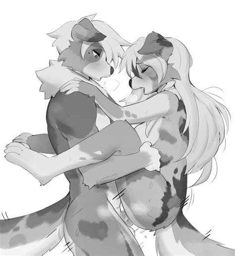 Rule 34 Absurd Res Anthro Australian Shepherd Blush Bodily Fluids